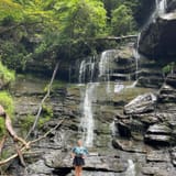 Yellow Branch Falls Trail, South Carolina - 2,951 Reviews, Map | AllTrails