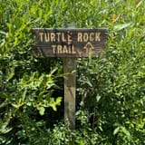 Turtle Rock Loop Trail, Wyoming - 1,401 Reviews, Map | AllTrails
