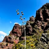 Barnhardt Trail Waterfall, Arizona - 929 Reviews, Map | AllTrails