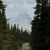 Edworthy Falls via Elbow Lake Trail, Alberta, Canada - 1,987 Reviews ...