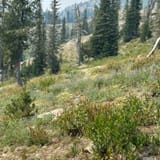 Blue Lake Trail, Idaho - 467 Reviews, Map | AllTrails
