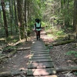 Midhurst Trail , Ontario, Canada - 1,544 Reviews, Map | AllTrails