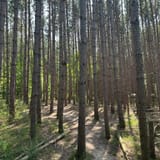 Midhurst Trail , Ontario, Canada - 1,544 Reviews, Map | AllTrails