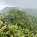 Mount Britton Tower Trail, Puerto Rico - 1,914 Reviews, Map | AllTrails