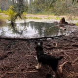 Lord Hill, Main Trail, and Temple Pond Loop Trail, Washington - 1,456 ...