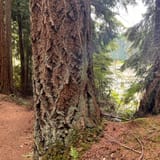 Lord Hill, Main Trail, and Temple Pond Loop Trail, Washington - 1,456 ...
