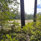 Lord Hill, Main Trail, and Temple Pond Loop Trail, Washington - 1,456 ...