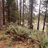Lord Hill, Main Trail, and Temple Pond Loop Trail, Washington - 1,456 ...