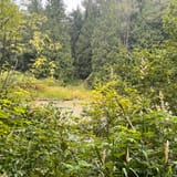 Lord Hill, Main Trail, and Temple Pond Loop Trail, Washington - 1,456 ...