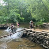 Waterfall Glen Trail, Illinois - 3,619 Reviews, Map | AllTrails