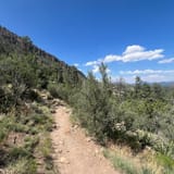 Fatmans Loop Trail, Arizona - 5,754 Reviews, Map | AllTrails