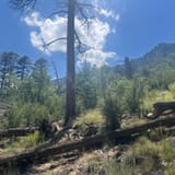 Fatmans Loop Trail, Arizona - 5,754 Reviews, Map | AllTrails