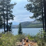 Fallen Leaf Lake Trail, California - 1,482 Reviews, Map | AllTrails