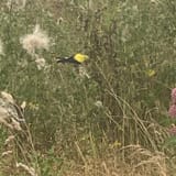 Sachuest Point National Wildlife Refuge Trail, Rhode Island - 2,054 ...