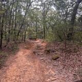 Cross Timbers Hiking Trail, Texas - 1,496 Reviews, Map | AllTrails