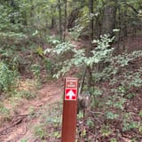 Cross Timbers Hiking Trail, Texas - 1,496 Reviews, Map | AllTrails