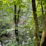 The Boogerman Trail [CLOSED], North Carolina - 530 Reviews, Map | AllTrails
