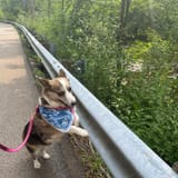 Skippack Creek Loop Trail, Pennsylvania - 4,014 Reviews, Map | AllTrails