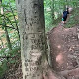 Skippack Creek Loop Trail, Pennsylvania - 4,014 Reviews, Map | AllTrails