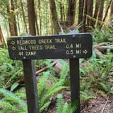Tall Trees Grove Loop Trail, California - 2,468 Reviews, Map | AllTrails