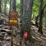 Waimano Falls Trail, Oahu, Hawaii - 5,313 Reviews, Map | AllTrails