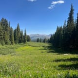 Shrine Ridge Trail, Colorado - 3,318 Reviews, Map | AllTrails