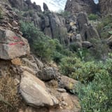 Picketpost Mountain Trail, Arizona - 2,437 Reviews, Map | AllTrails