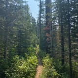 Mount Kit Carson Trail, Washington - 1,051 Reviews, Map | AllTrails