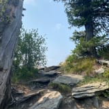 Mount Kit Carson Trail, Washington - 1,051 Reviews, Map | AllTrails