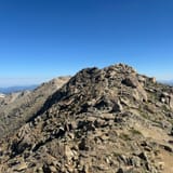 Mount Massive Trail, Colorado - 1,305 Reviews, Map | AllTrails