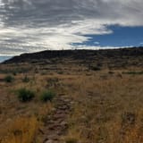 Picketpost Mountain Trail, Arizona - 2,437 Reviews, Map | AllTrails