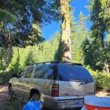 Strawberry Lake OHV Trail, California - 31 Reviews, Map | AllTrails