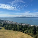 Cathedral Tree Trail, Oregon - 1,022 Reviews, Map | AllTrails