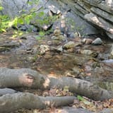 Burch Creek Trail, Utah - 777 Reviews, Map | AllTrails