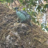 Dave Moore Nature Trail, California - 391 Reviews, Map | AllTrails