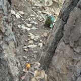 Dave Moore Nature Trail, California - 391 Reviews, Map | AllTrails