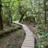 Mount Crumpit via Stairway to Heaven, Woodpecker, and S&M Connector ...