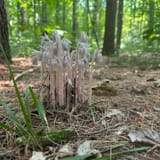 Midhurst Trail , Ontario, Canada - 1,544 Reviews, Map | AllTrails