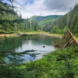 Spider Lake Trail, Washington - 240 Reviews, Map | AllTrails
