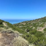 Forrestal Preserve Loop, California - 1,206 Reviews, Map | AllTrails