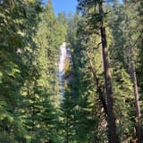Proxy Falls Loop, Oregon - 1,269 Reviews, Map | AllTrails