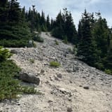 McNeil Point Trail, Oregon - 2,968 Reviews, Map | AllTrails