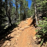 Mount Rosa Trail, Colorado - 626 Reviews, Map | AllTrails
