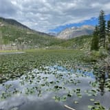Cub Lake Loop, Colorado - 2,234 Reviews, Map | AllTrails