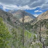 Cub Lake Loop, Colorado - 2,234 Reviews, Map | AllTrails