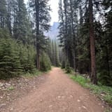 Edworthy Falls via Elbow Lake Trail, Alberta, Canada - 1,987 Reviews ...