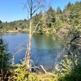 Lake Lagunitas, California - 639 Reviews, Map | AllTrails