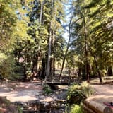 Lake Lagunitas, California - 645 Reviews, Map | AllTrails