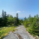 Mount Success via Appalachian Trail, New Hampshire - 496 Reviews, Map ...