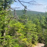 Mount Success via Appalachian Trail, New Hampshire - 496 Reviews, Map ...